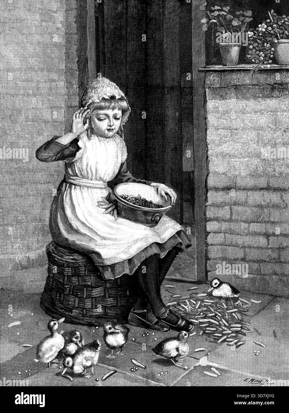 1890 engraving Black and White Stock Photos & Images - Alamy