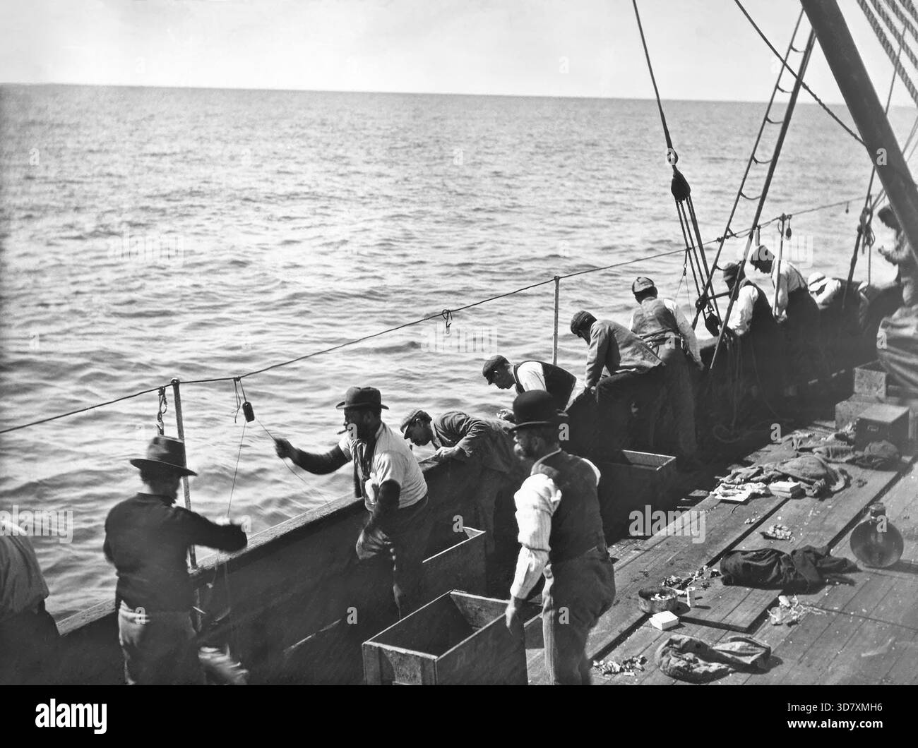 Snapper fishing, Moreton Bay, Queensland, c1900s Stock Photo - Alamy