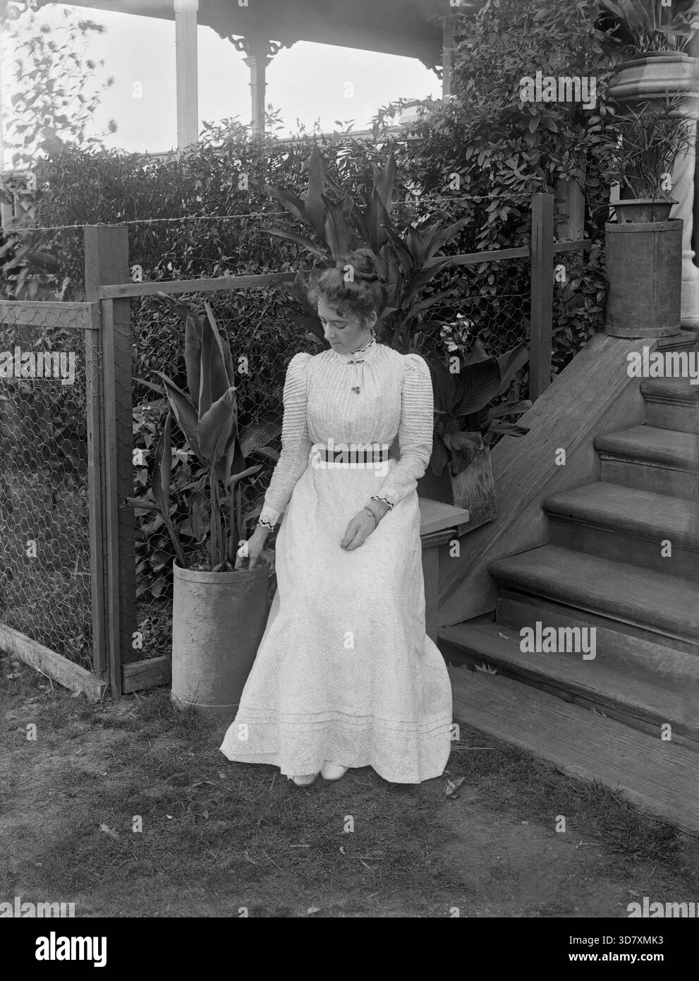 Polly L'Estrange was the wife of William L'Estrange brother of the ...