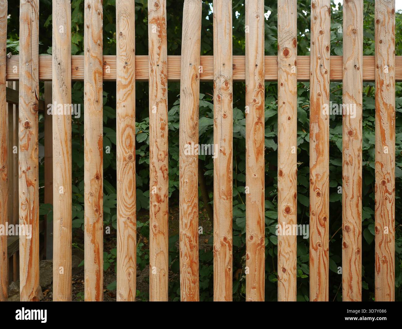 Traditional garden fence made of natural wood, vertical stakes and ...