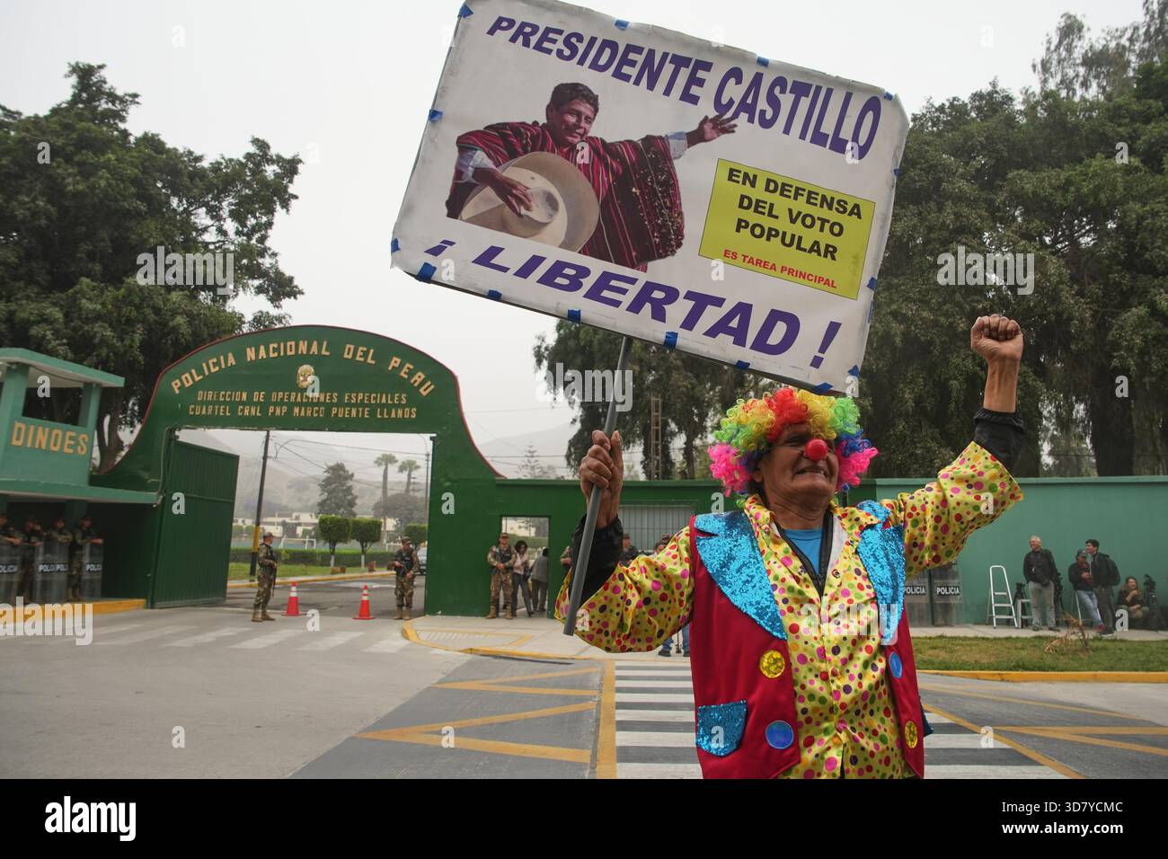A supporter of former President Pedro Castillo, who faces charges of ...