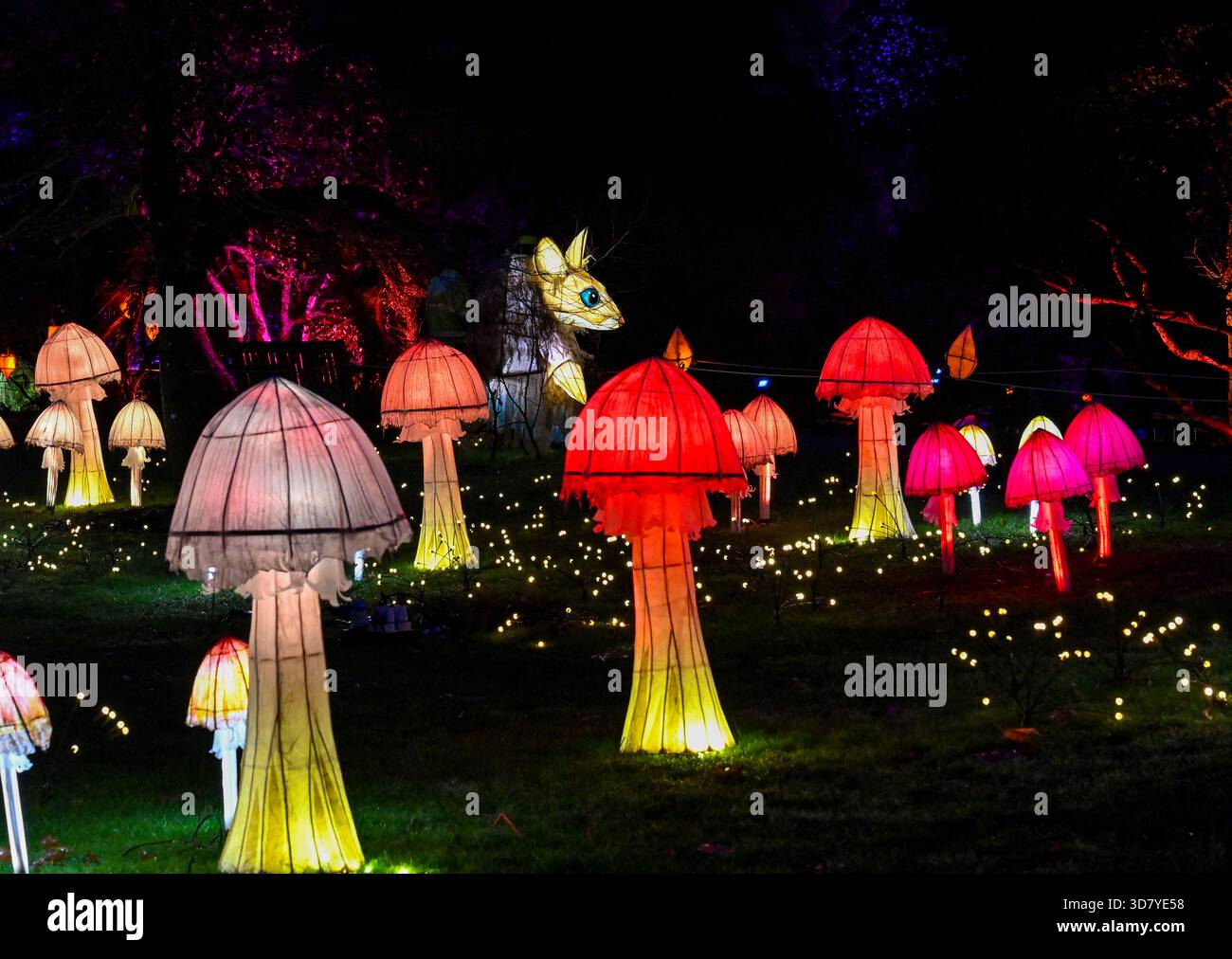 Wakehurst Place, England, UK, 27 November 2025. Christmas lights at the ...