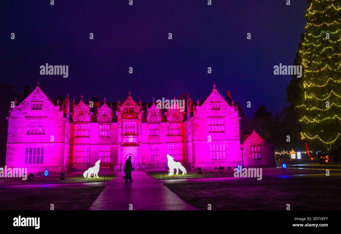 Wakehurst Place, England, UK, 27 November 2025. Christmas lights at the ...