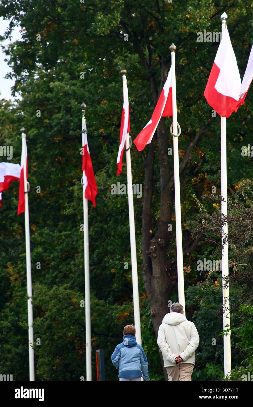 Row european flags waving on hi-res stock photography and images - Alamy