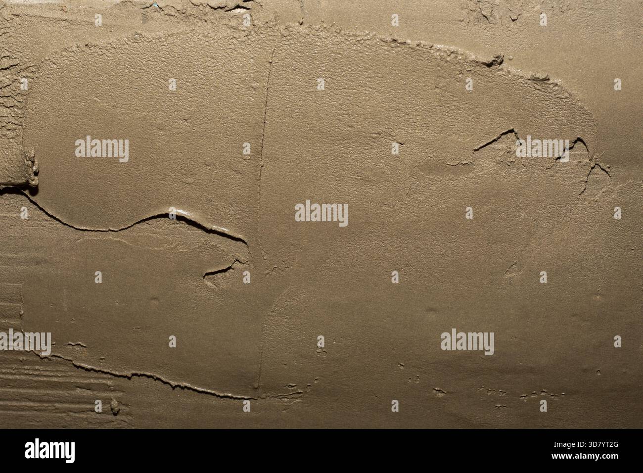 On a smooth, damp cement or plaster surface, wide, barely noticeable ...