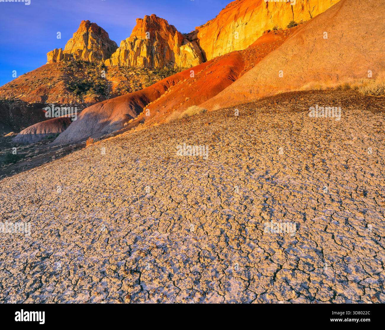Bentonite Hills, Circle Cliffs, Grand Staircase-Escalante National ...