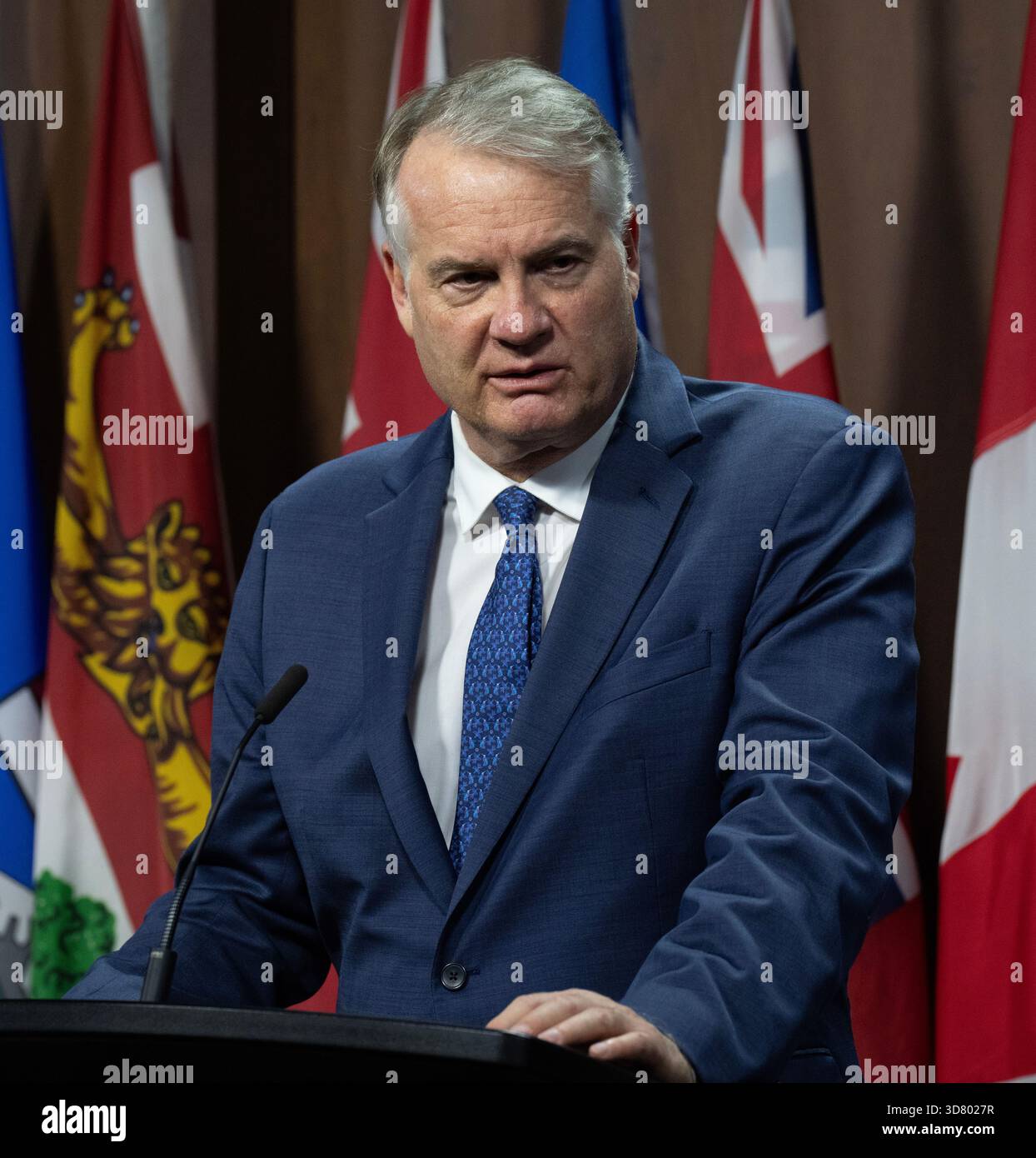 CEO Canadian Automobile Dealers Association President Tim Reuss is seen ...