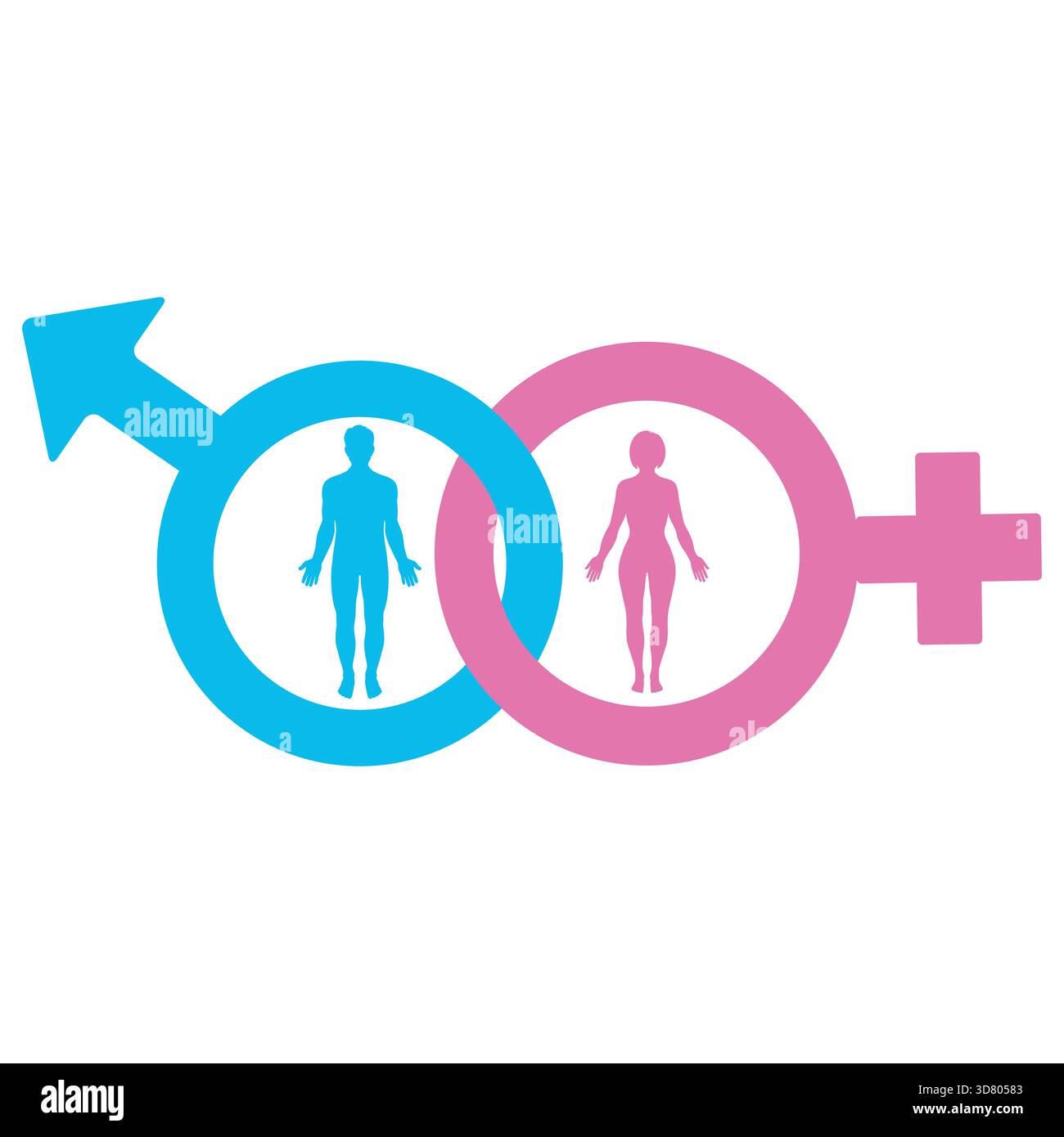 Gender equality concept. Male and female gender symbol on a white ...