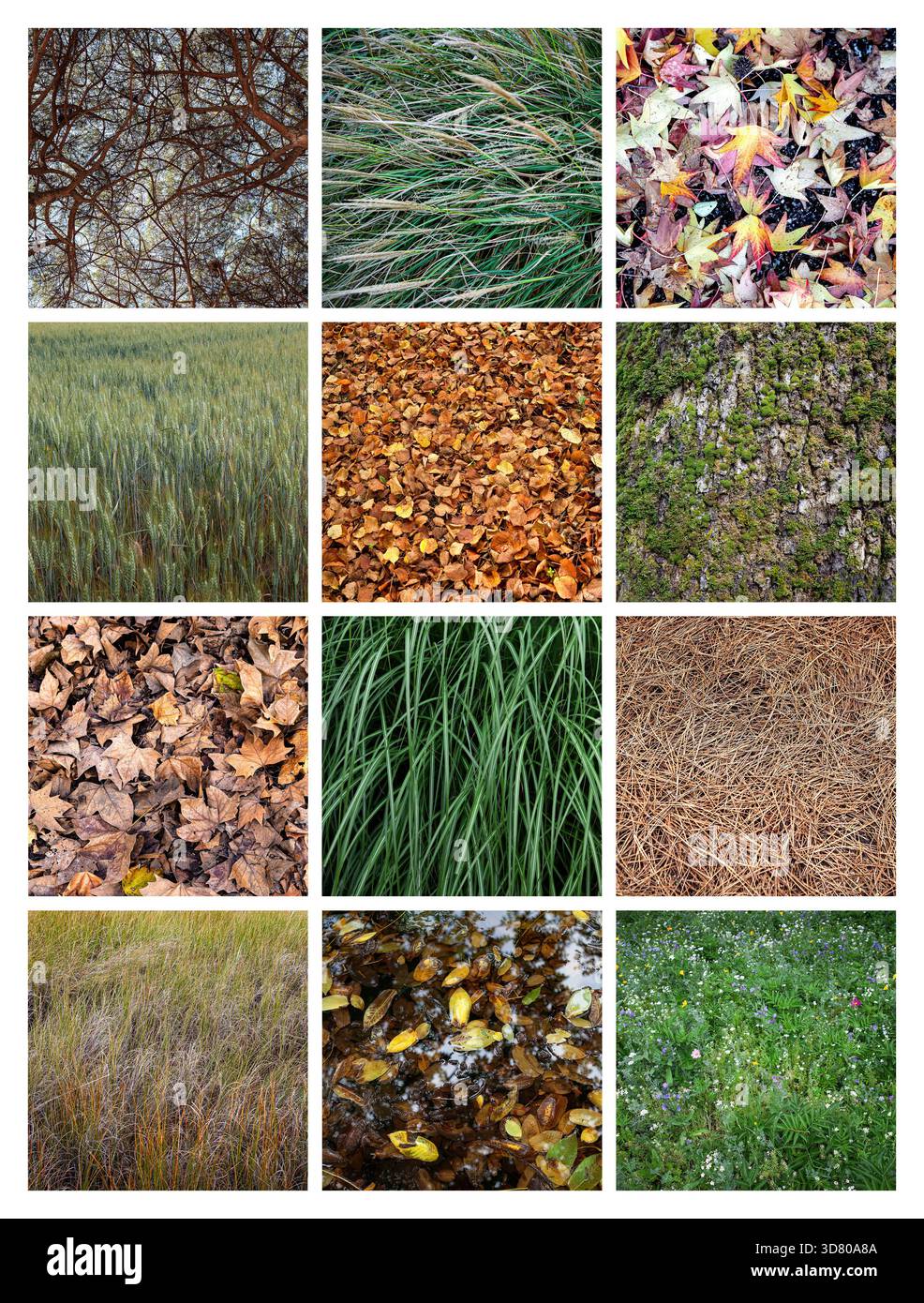 Grass mosaic Cut Out Stock Images & Pictures - Alamy