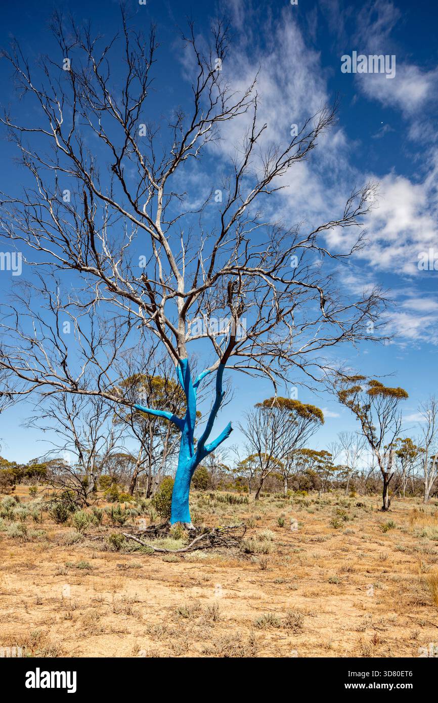Jayden whyte tragic loss hi-res stock photography and images - Alamy
