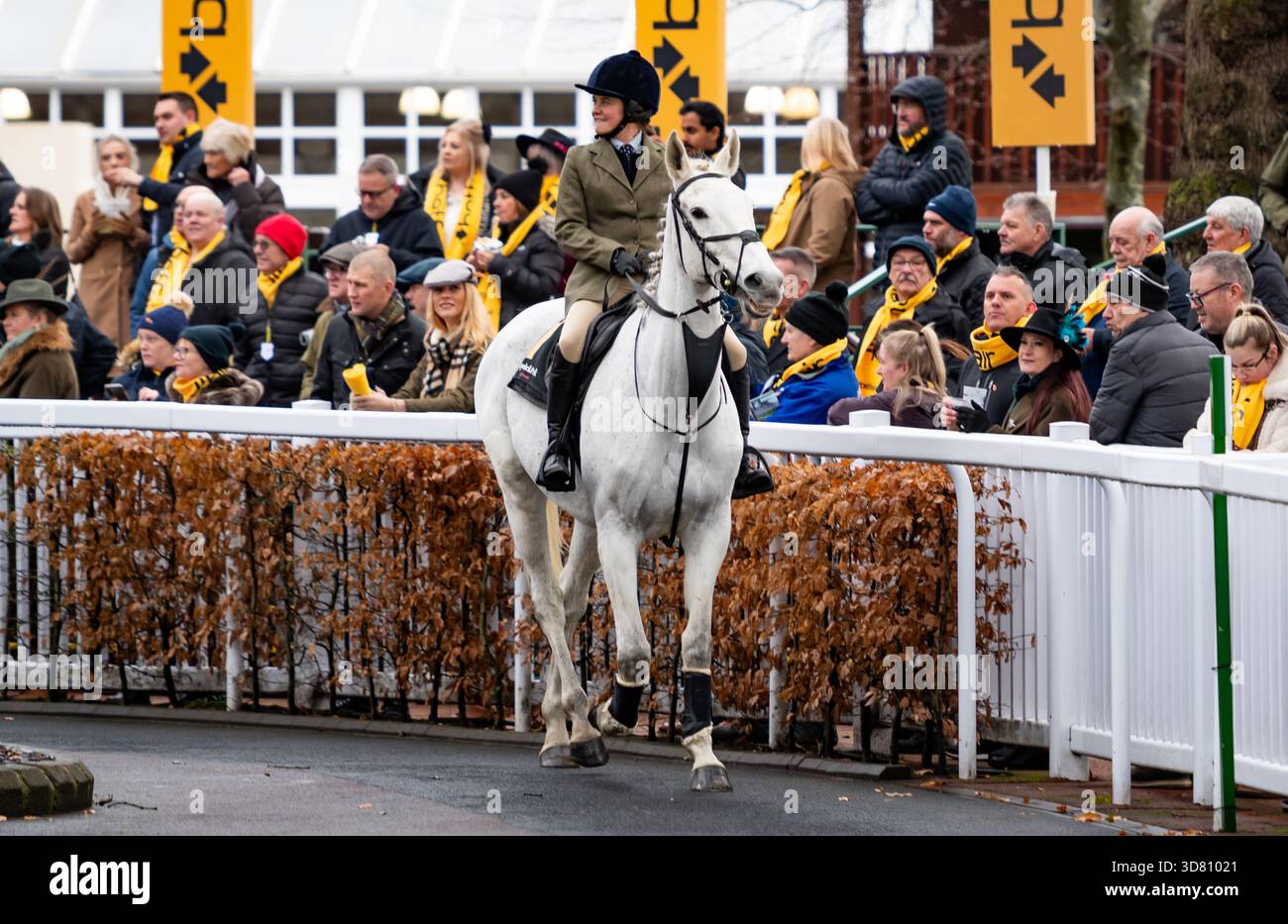 Bristol de Mai and his rider parade at Haydock Park in the RoR parade ...