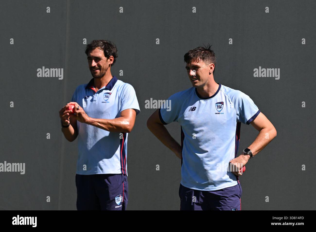 Australian cricket captain Pat Cummins and Mitchell Starc bowling ...