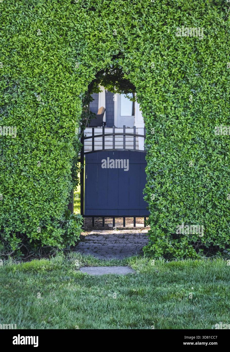 Pathway through green hedge leading to the house entrance via the gate ...
