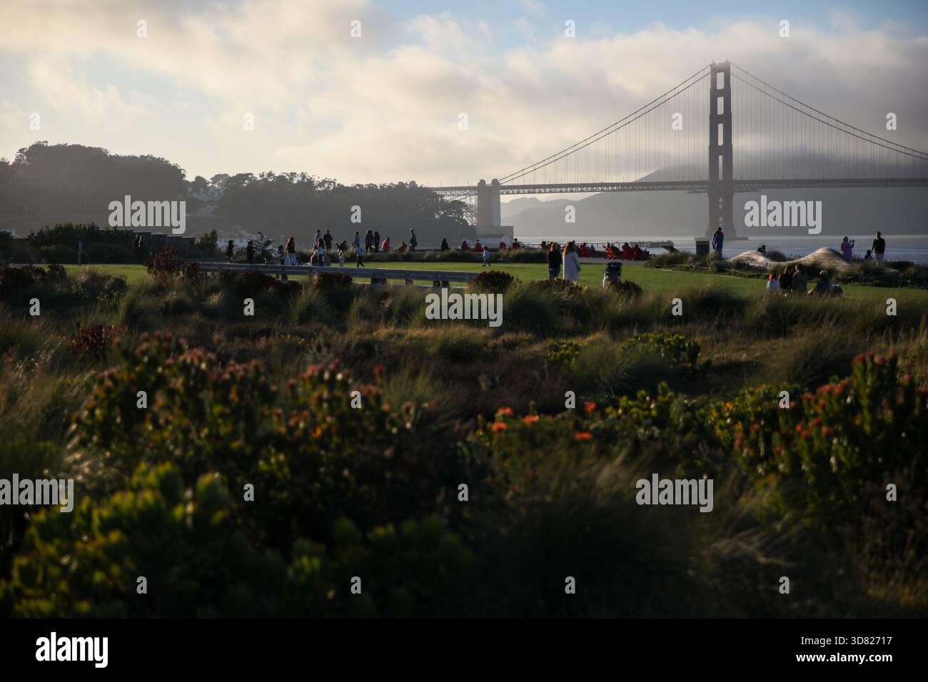 The Golden Gate's Bridge is seen from Presidio Tunnel Tops in San ...