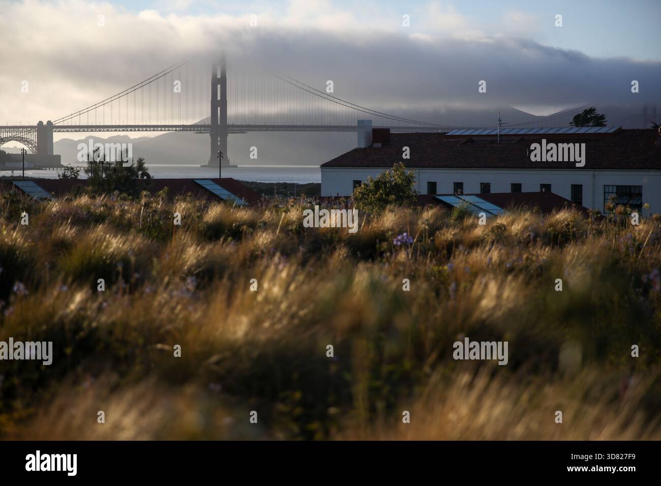 The Golden Gate's Bridge is seen from Presidio Tunnel Tops in San ...