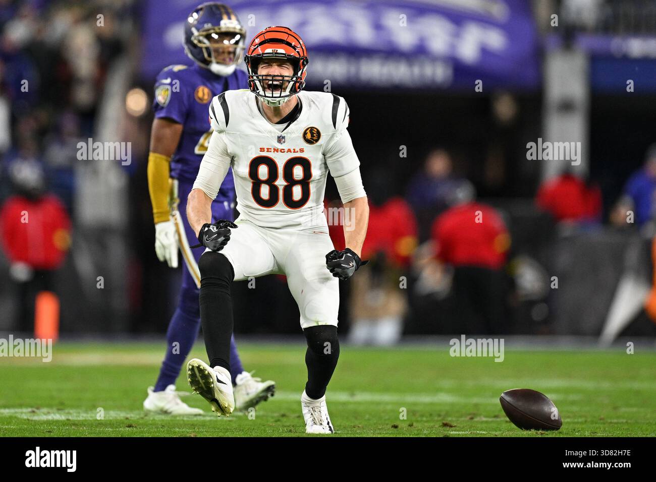 Cincinnati Bengals tight end Mike Gesicki (88) celebrates after ...