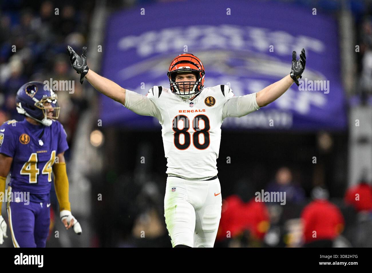 Cincinnati Bengals tight end Mike Gesicki (88) celebrates after ...