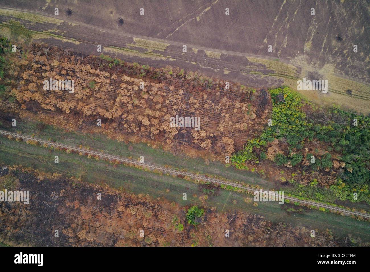 Documented forest hi-res stock photography and images - Alamy