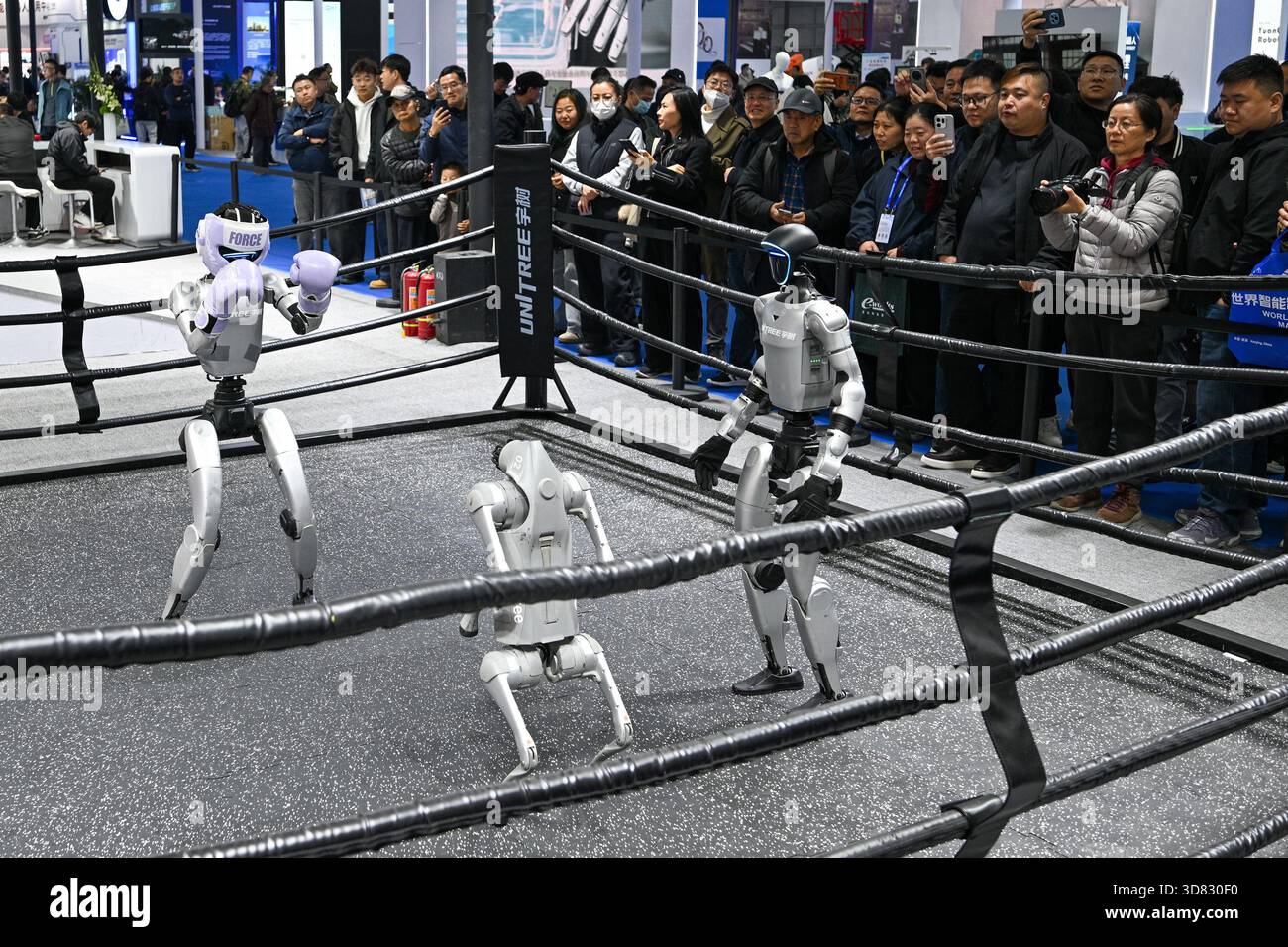 Visitors visit UNITREE fighting robots at the 2025 World Intelligent ...