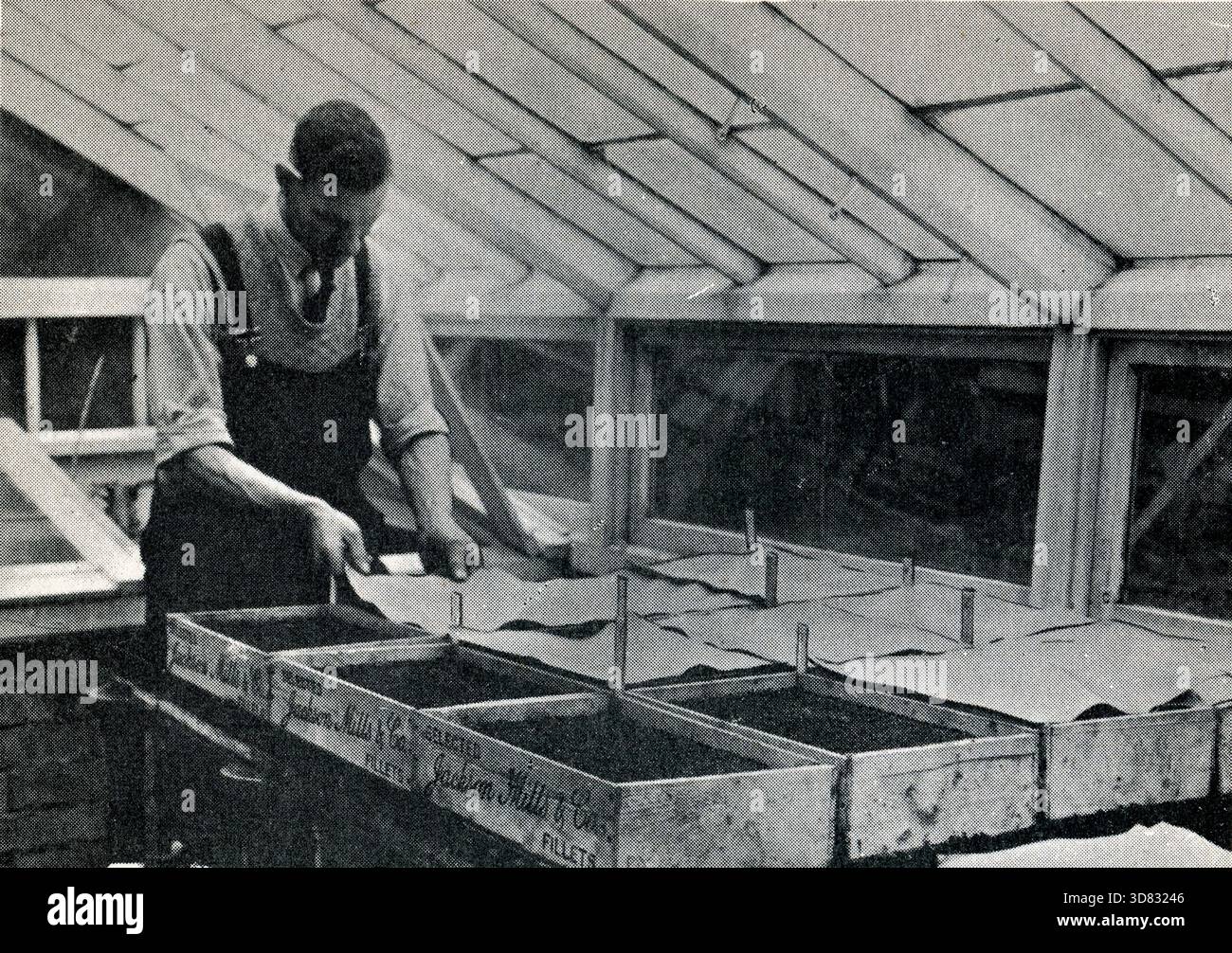 1950 1950s 50s fifties 1955 1956 1957 hi-res stock photography and ...