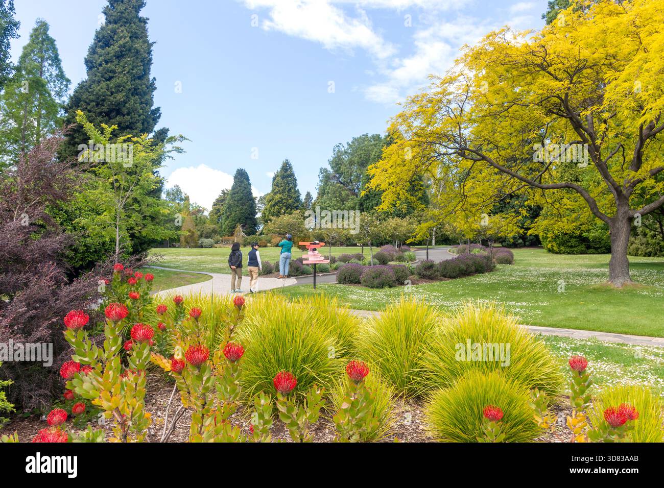 Royal tasmanian botanical gardens flowering plants entrance flow hi-res ...