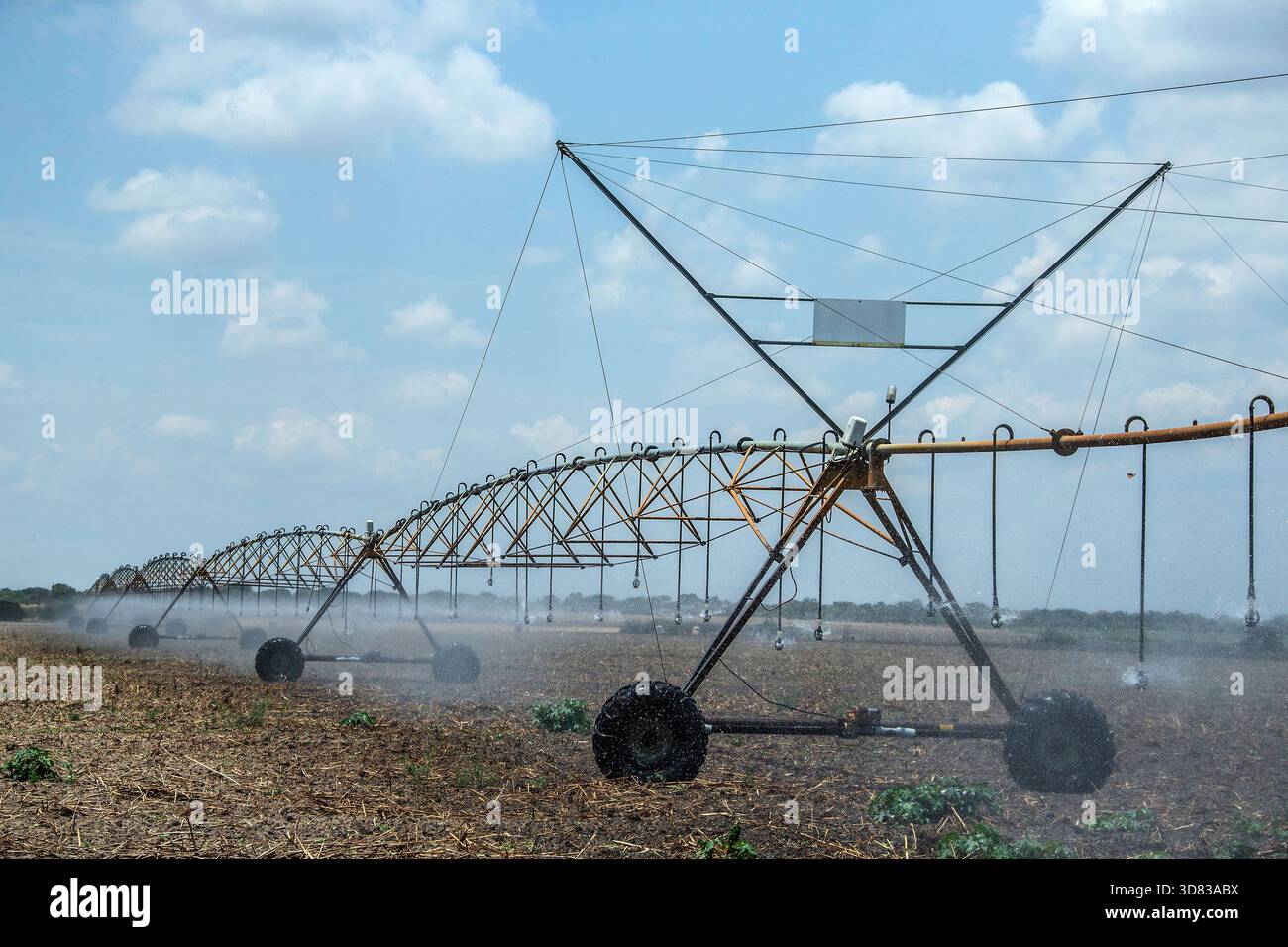 Crops in namibia hi-res stock photography and images - Alamy