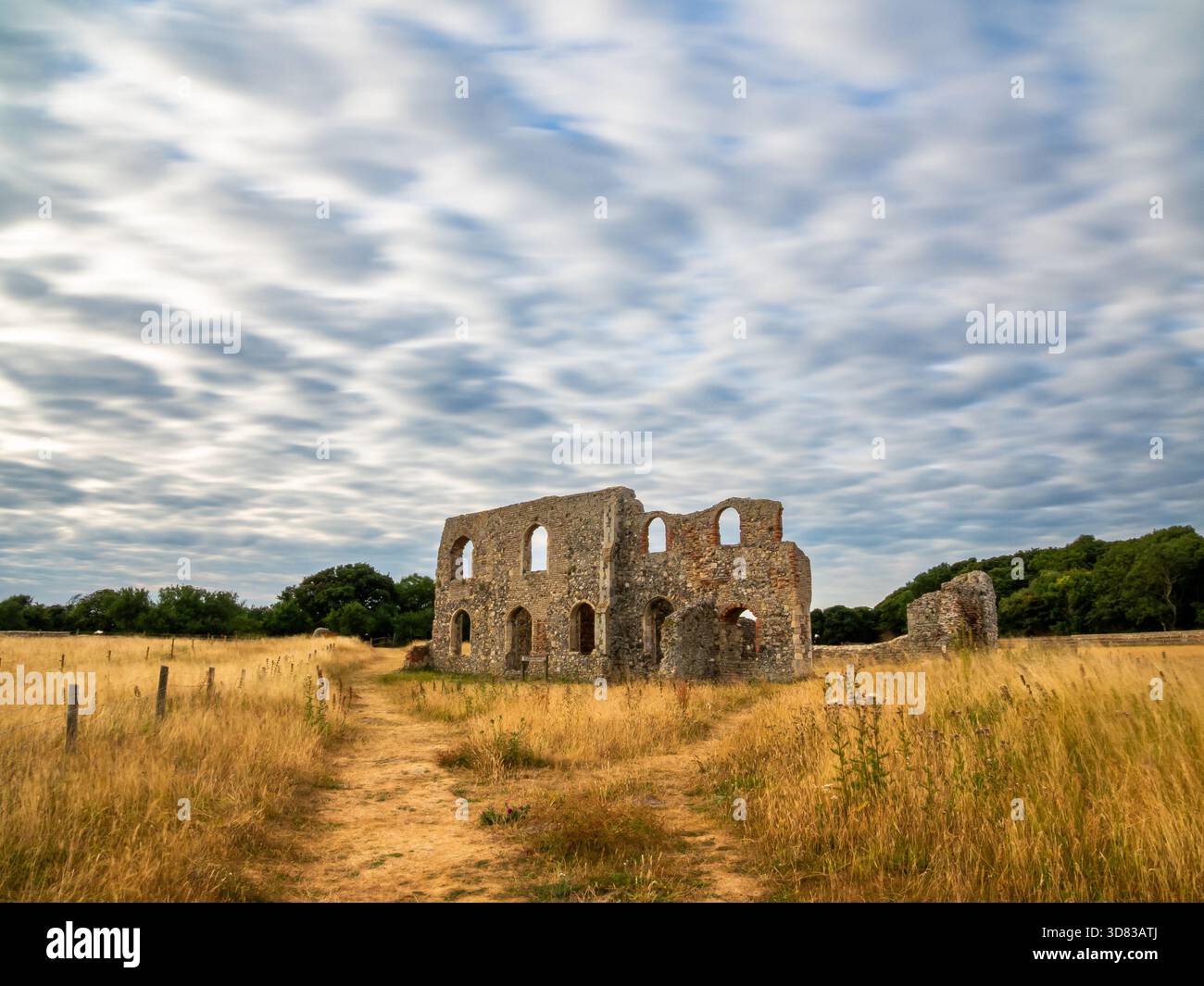 Greyfriars Abbey ruins across a dry grassy landscape Stock Photo - Alamy