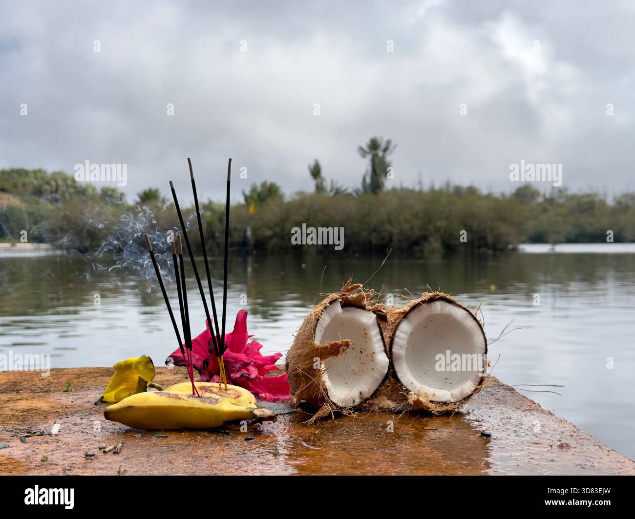 Close up shot of offerings to Gods during religious ceremonies at Ganga ...
