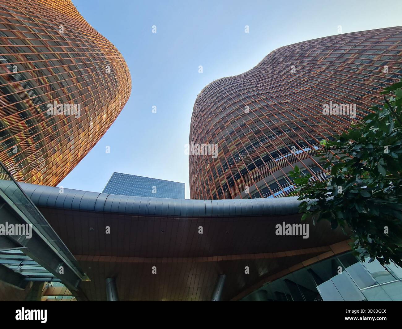 Modern curved towers and a silver high rise framed by greenery ...