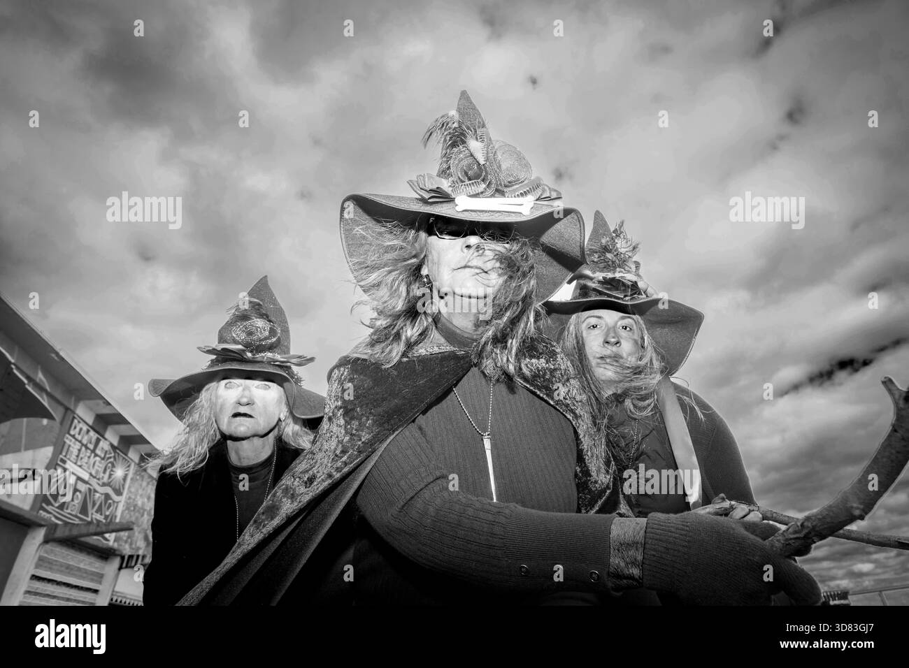 Witches Coven Gathering by the Sea Stock Photo - Alamy
