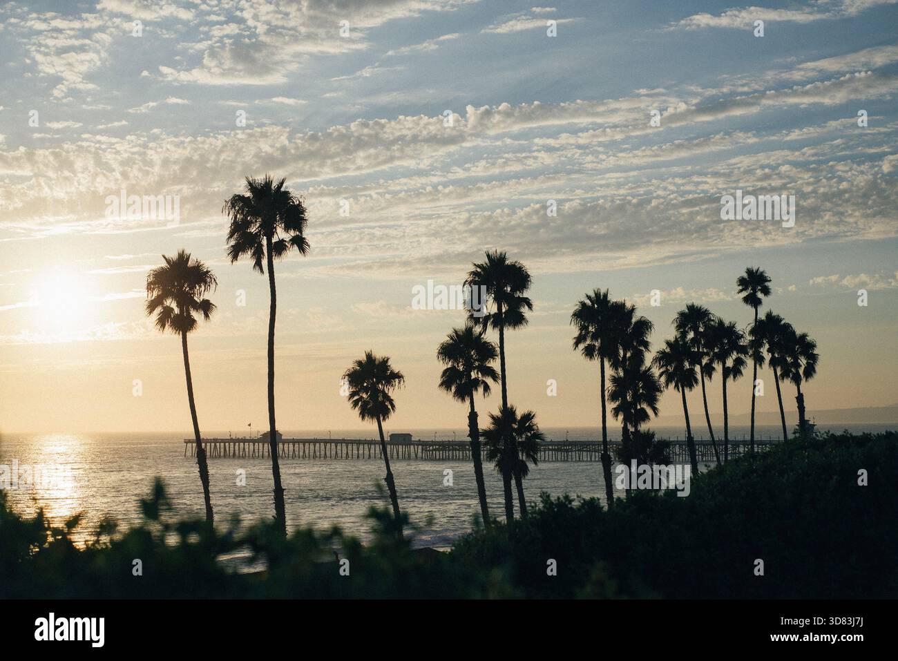 California beach skate surf hi-res stock photography and images - Alamy