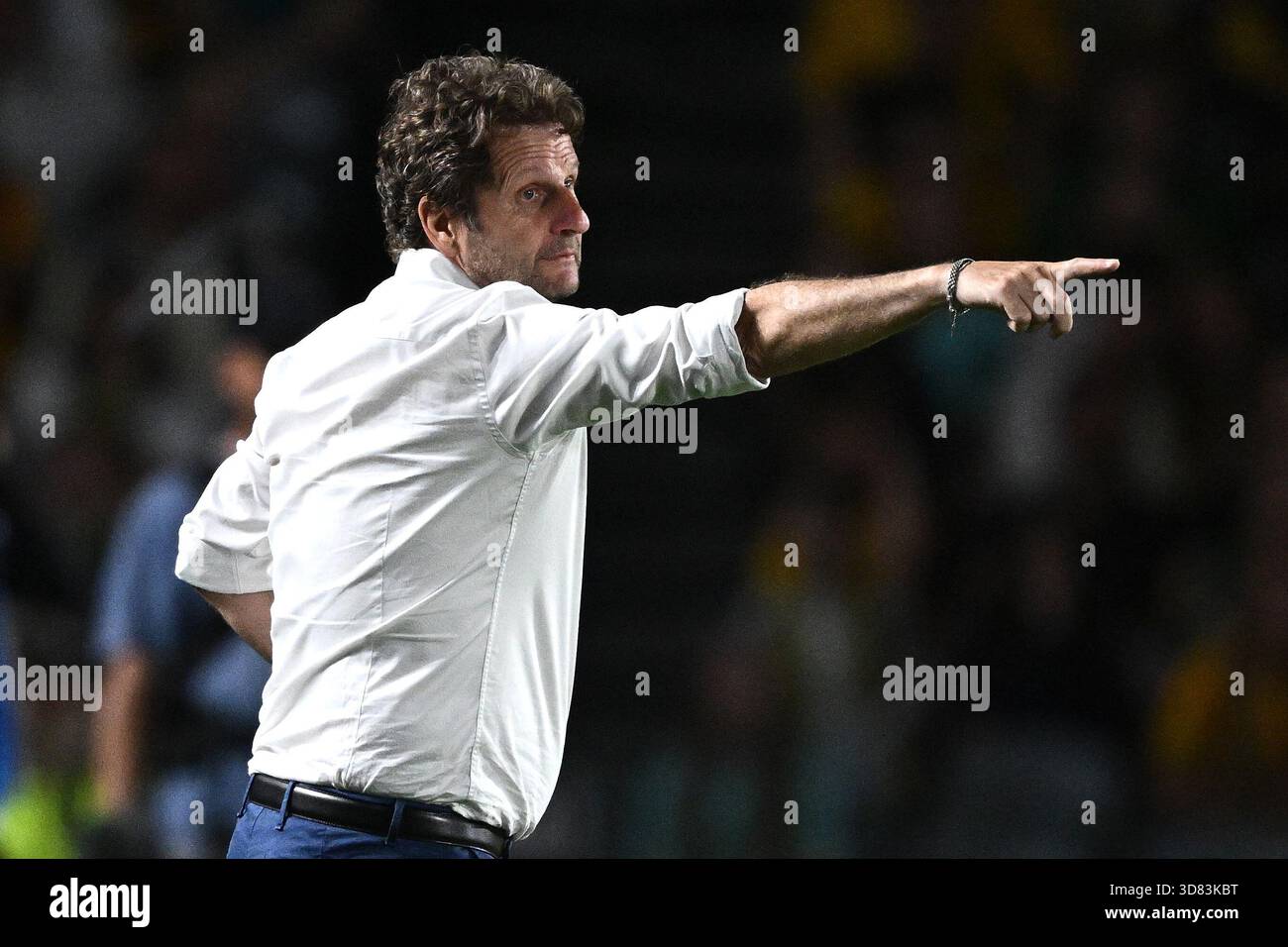 Matildas coach Joe Montemurro gestures during the International Women's ...