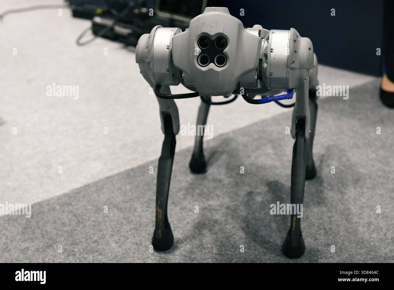 This photograph shows a Go1 robot dog at the Defence Innovation Forum ...