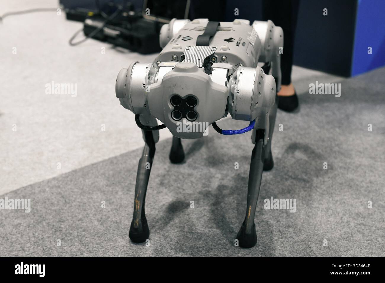 This photograph shows a Go1 robot dog at the Defence Innovation Forum ...