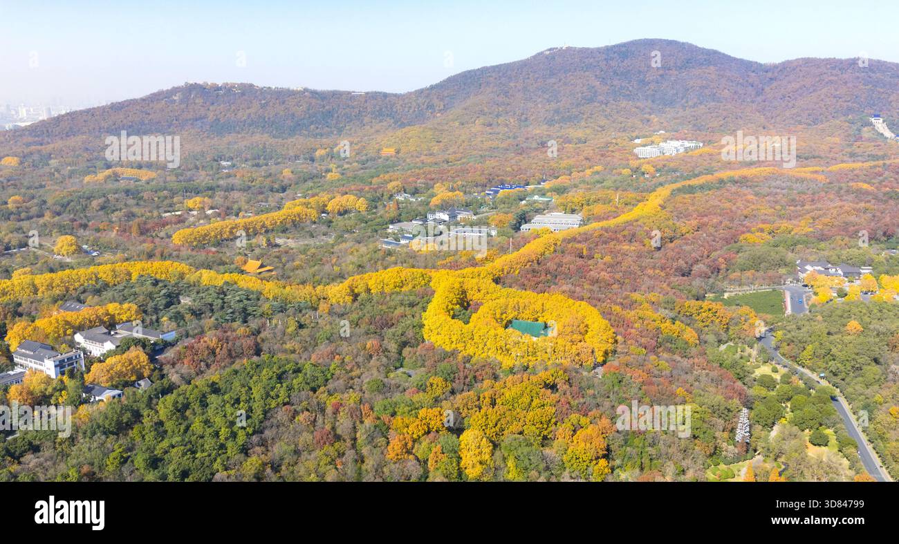 NANJING, CHINA - NOVEMBER 28, 2025 - Aerial view of Meiling Palace at ...