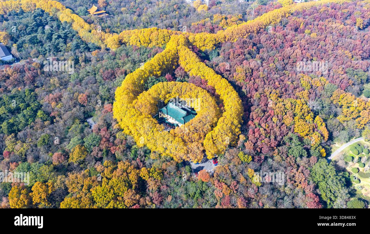 NANJING, CHINA - NOVEMBER 28, 2025 - Aerial view of Meiling Palace at ...