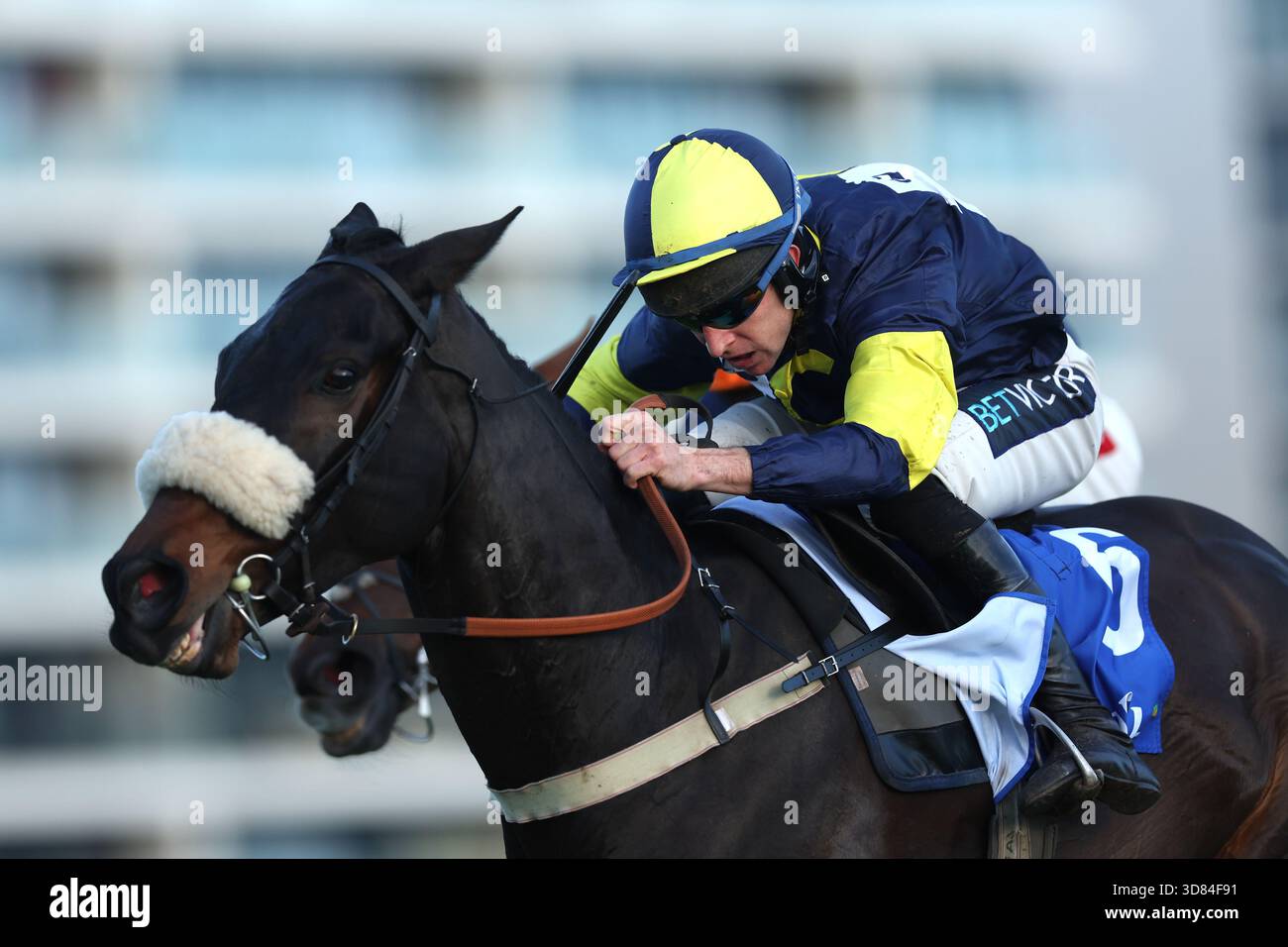 Wendigo ridden by Gavin Sheehan on their way to winning the Coral John ...