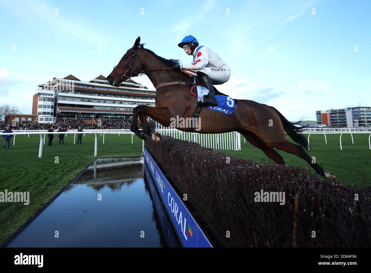 Regent's Stroll ridden by Harry Cobden in the Coral John Francome ...
