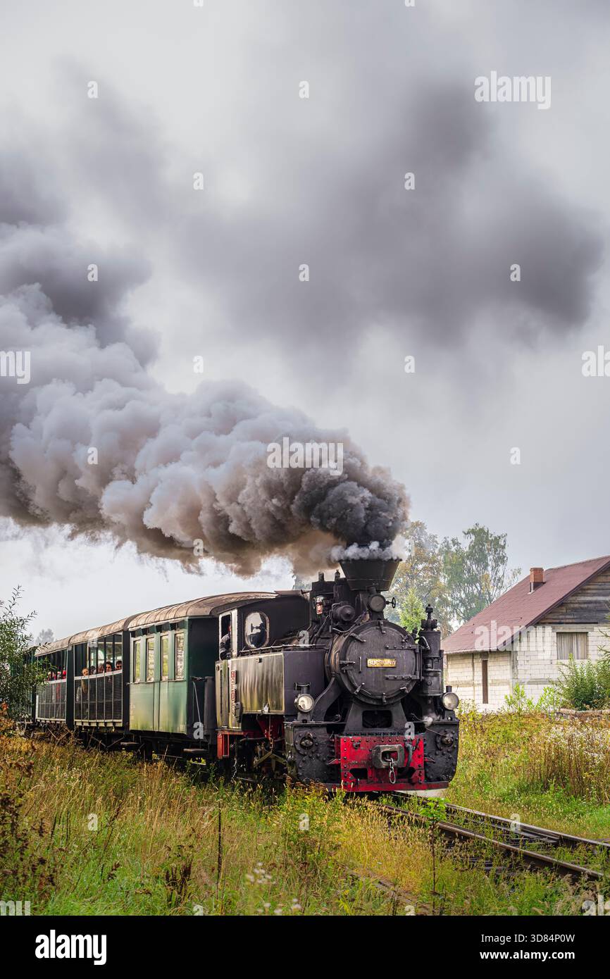 Romania, Bukovina region, Moldovita, Mocanita Hutulca, old narrow gauge ...