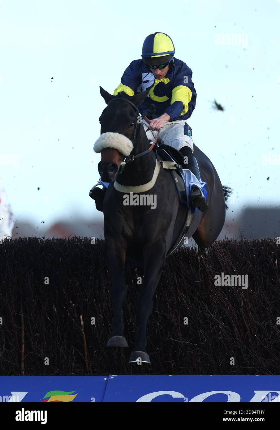 28th november on day hi-res stock photography and images - Alamy