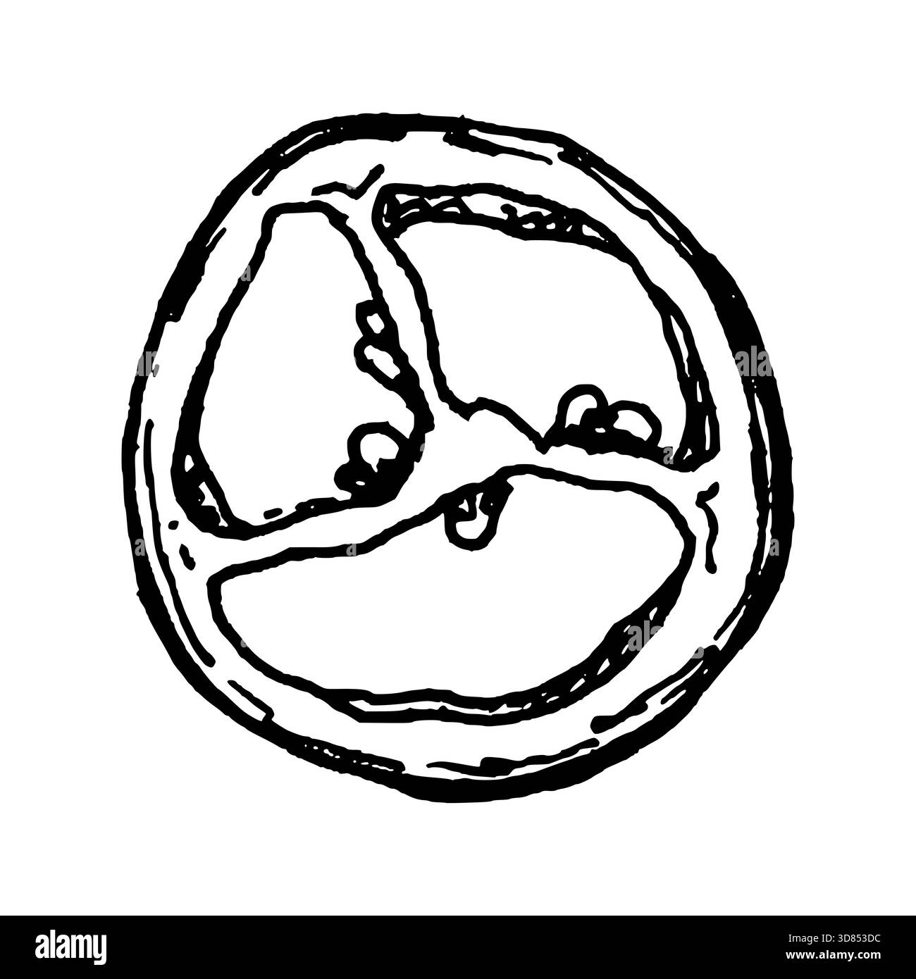 Black and white vector illustration of a sliced chili pepper with three ...