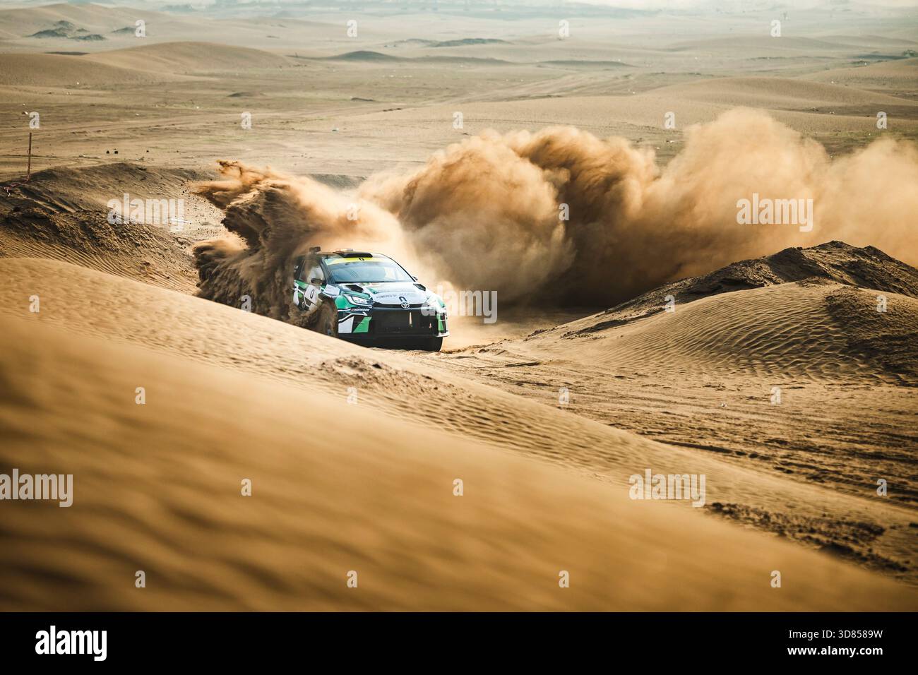 ambiance during the 2025 Rally Saudi Arabia, 14th round of the 2025 WRC ...