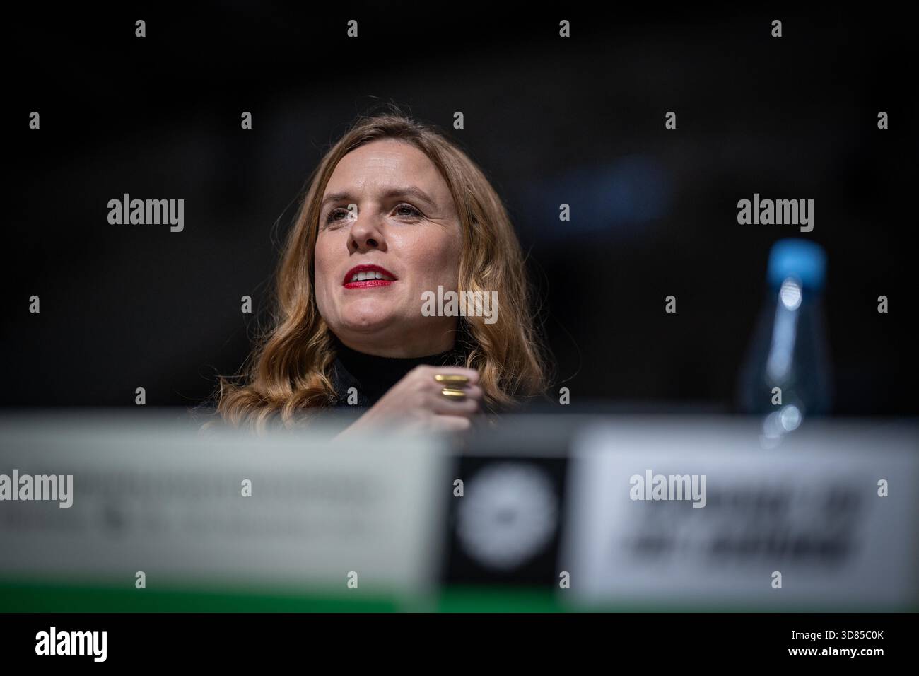 Terry Reintke, MEP Stock Photo - Alamy