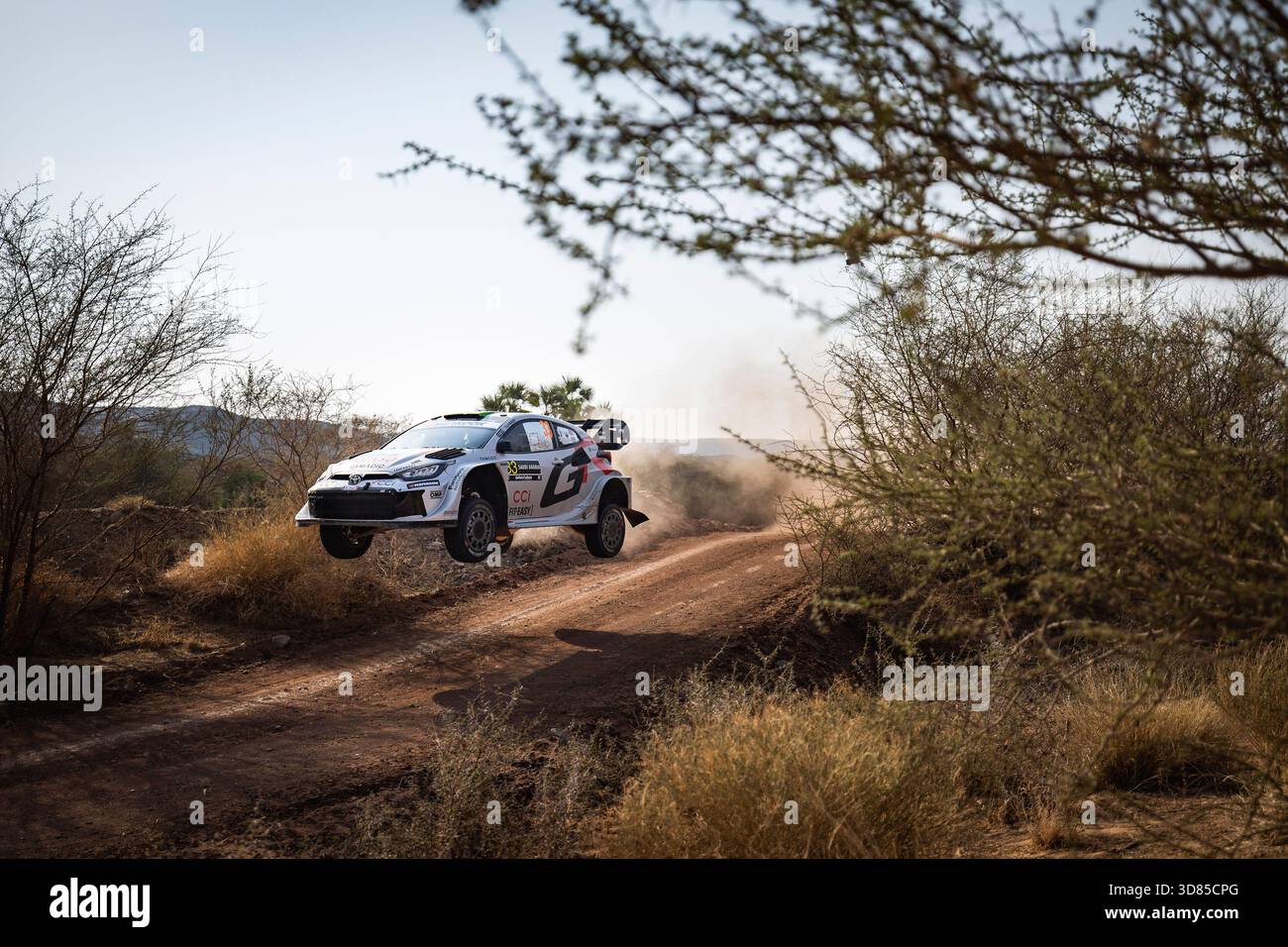 33 Elfyn EVANS, Scott MARTIN, Toyota GR Yaris Rally1, action during the ...