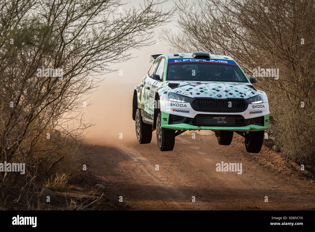 24 Robert VIRVES, Jakko VIILO, Skoda Fabia RS Rally2, action during the ...