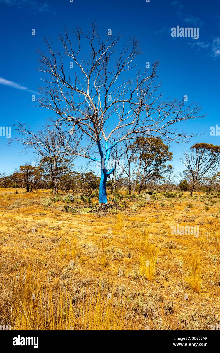 Jayden whyte tragic loss hi-res stock photography and images - Alamy