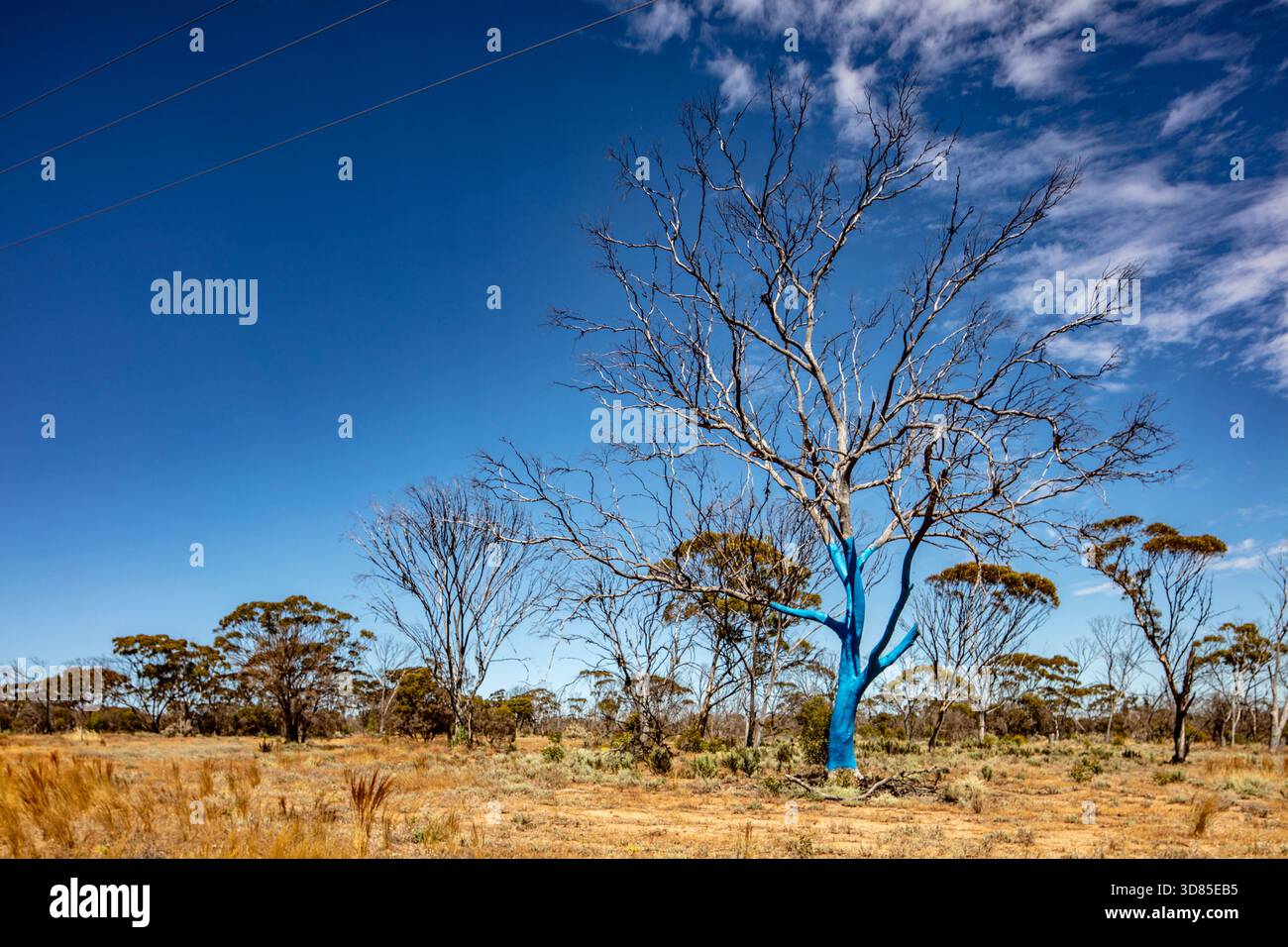Jayden whyte tragic loss hi-res stock photography and images - Alamy