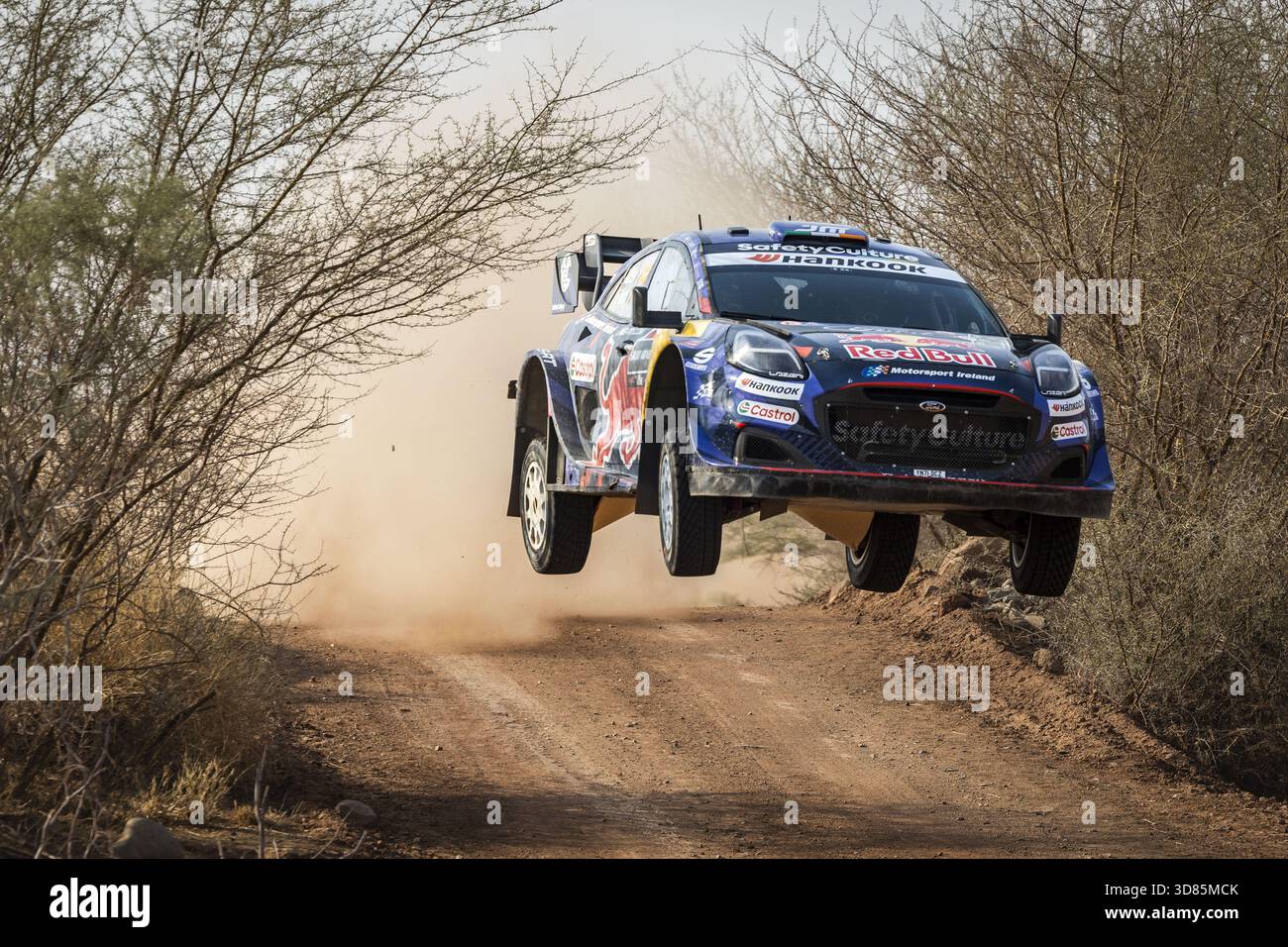 55 Joshua MCERLEAN, Eoin TREACY, Ford Puma Rally1, action during the ...