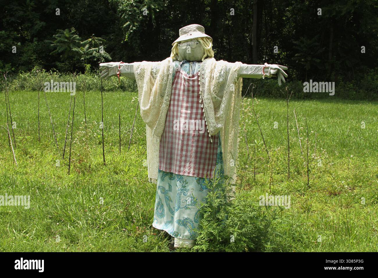 Simple traditional scarecrow in Virginia's countryside, USA Stock Photo ...