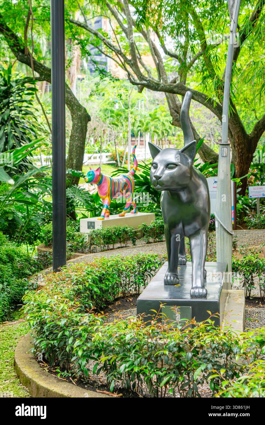 Parque del Gato, Cali, Valle del Cauca, Colombia - November 9, 2025 - A ...
